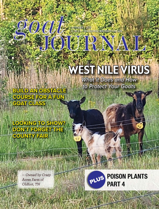 Goat Journal Digital Issue 13 - Goat Journal